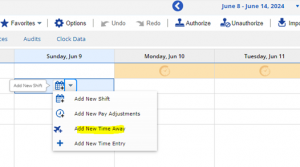 How to Request TAFW and Approve Requests in Dayforce | OnActuate